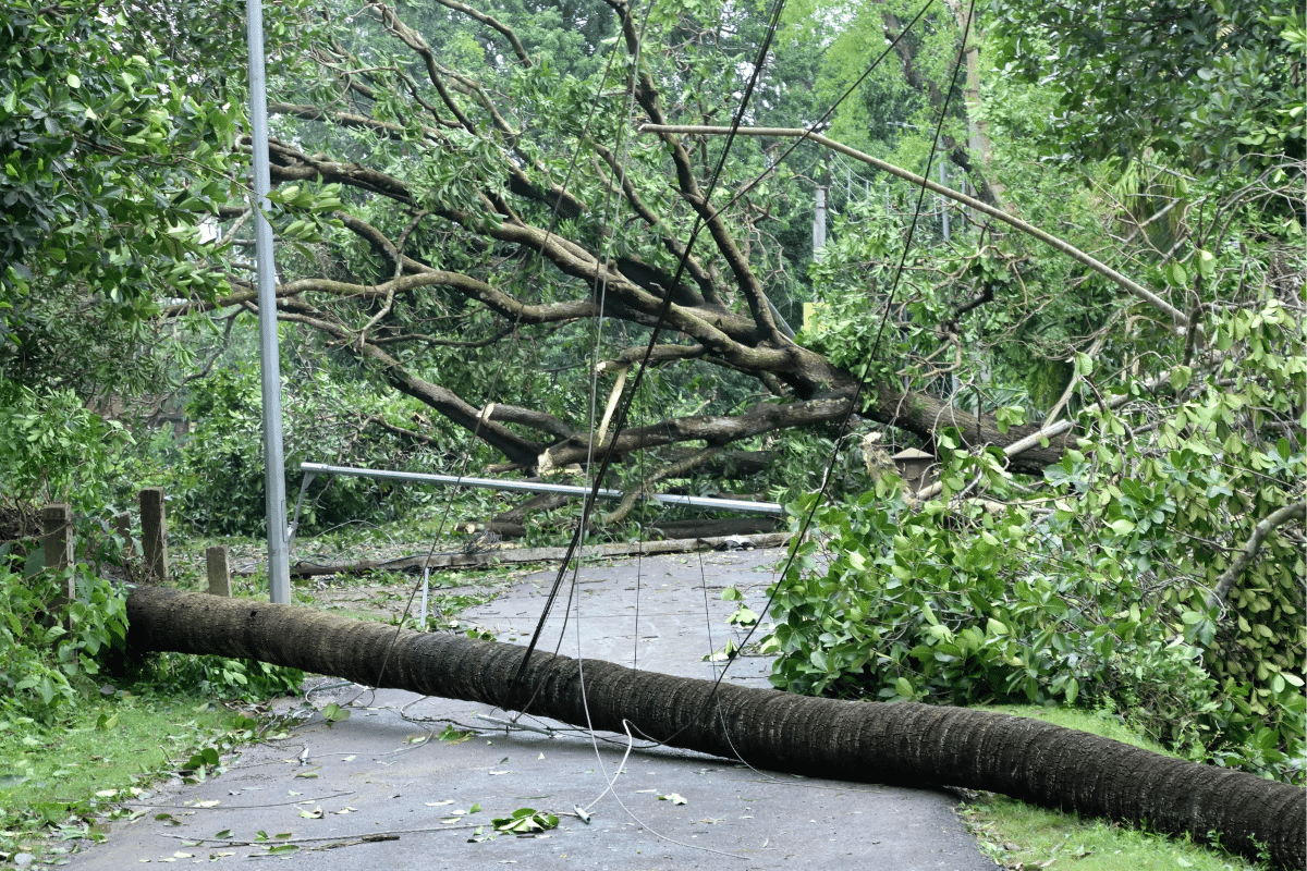 Sport and Recreation Disaster Recovery Program supporting Queenslanders in need - Soccerscene