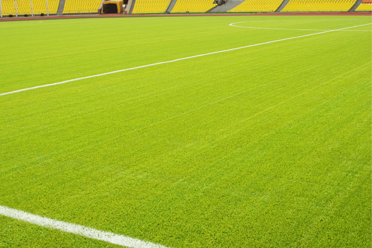 Football Tasmania's four-year Facilities Strategy to increase ...