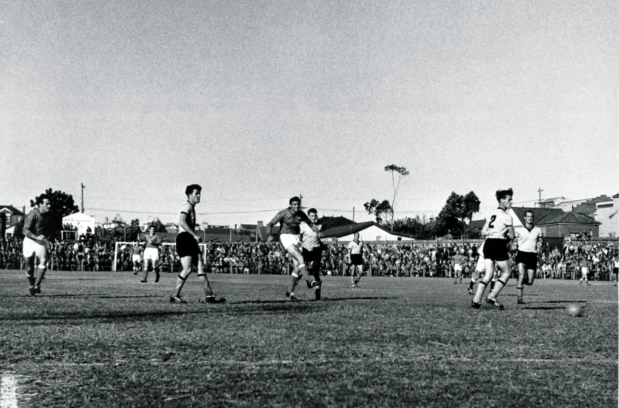 APIA Leichhardt FC: 70 years on & still counting - Soccerscene